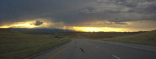 Rex & Dodi's Road Trip - Day 18